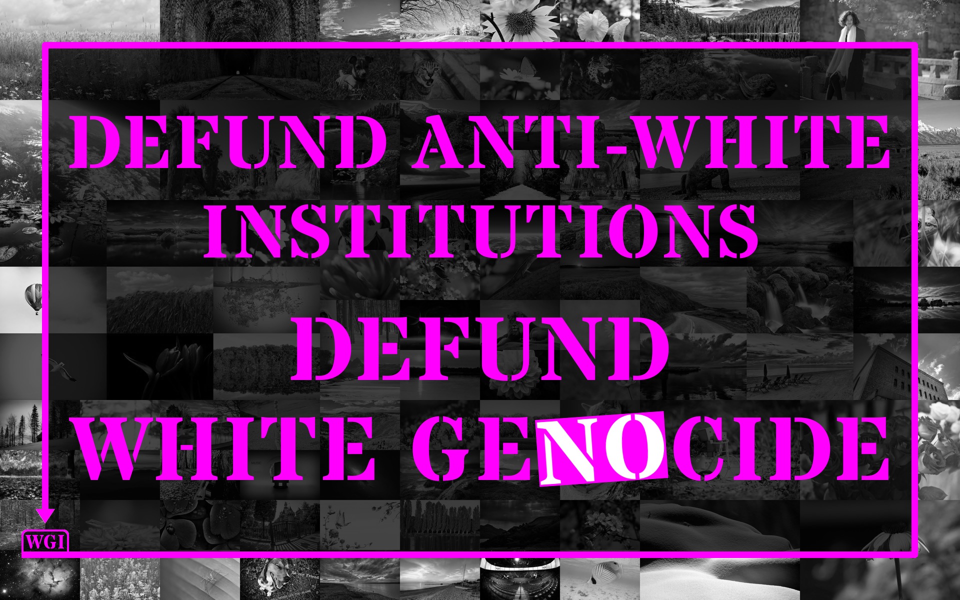 WHITE GENOCIDE INFO - WGI