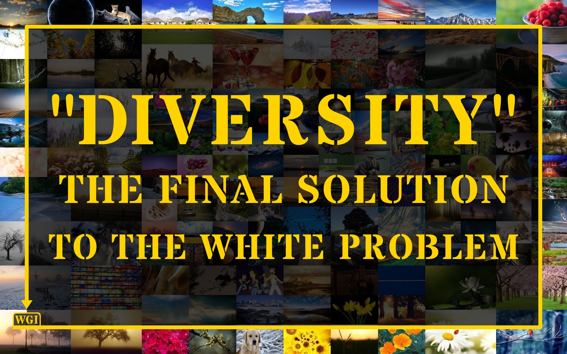 WHITE GENOCIDE INFO - WGI