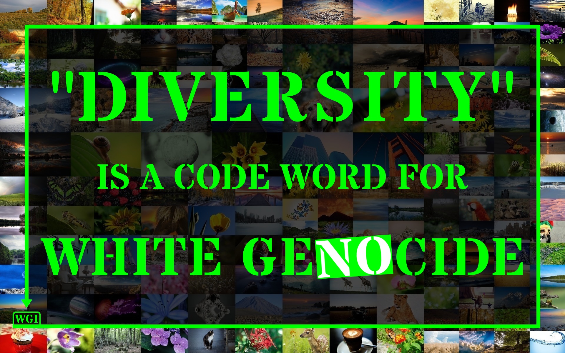 WHITE GENOCIDE INFO - WGI